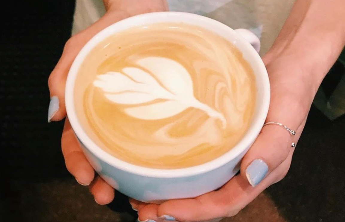 Honey Bee Latte Recipe - Oh Snap! Cupcakes