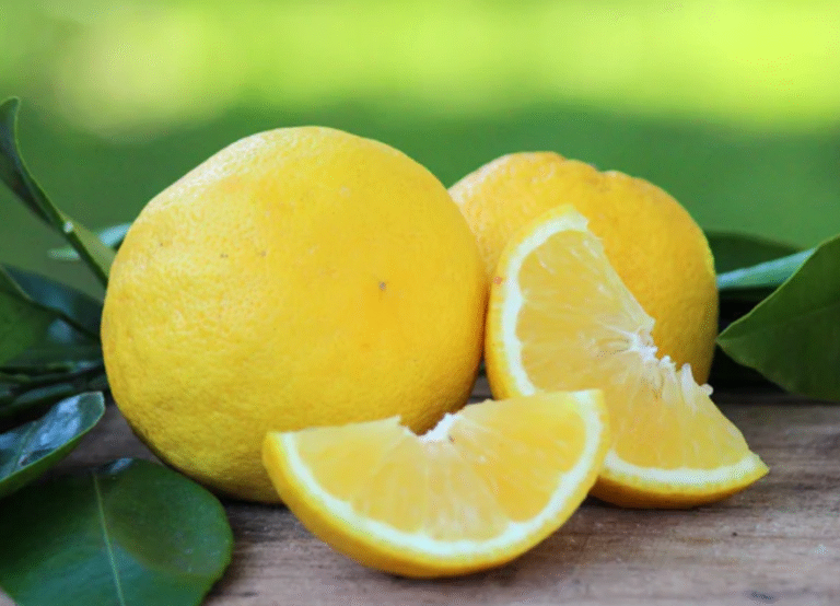 Pink Lemonade vs Lemonade: What's the Difference? - Oh Snap! Cupcakes